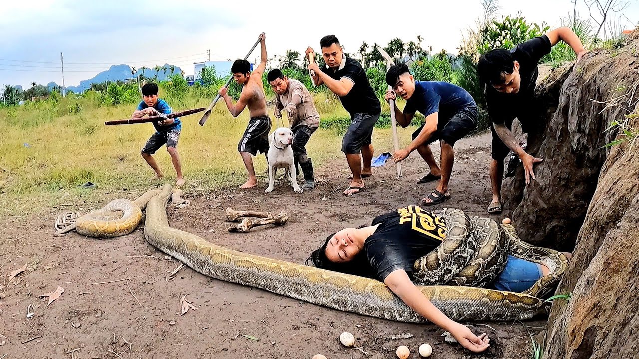 6 Brave Hunters With Pitbull Dog Confront 3 Ferocious Giant Pythons To ...