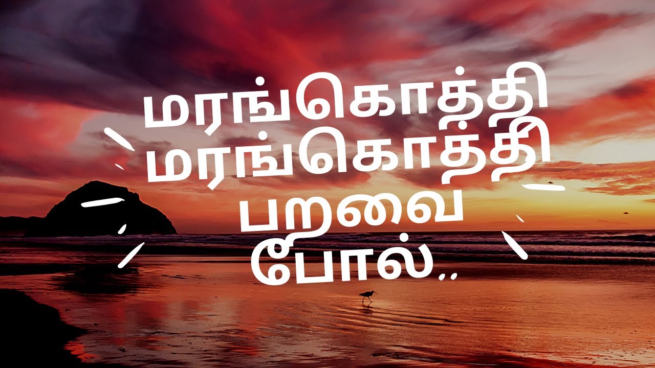 மரங்கொத்தி மரங்கொத்தி பறவை போல்.. - Maram Kothi - YouTube