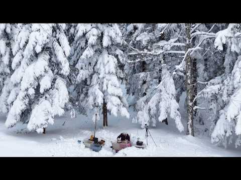 ISSIZ ORMAN VE DERİN KARDA BİR GÜN GEÇİRDİK