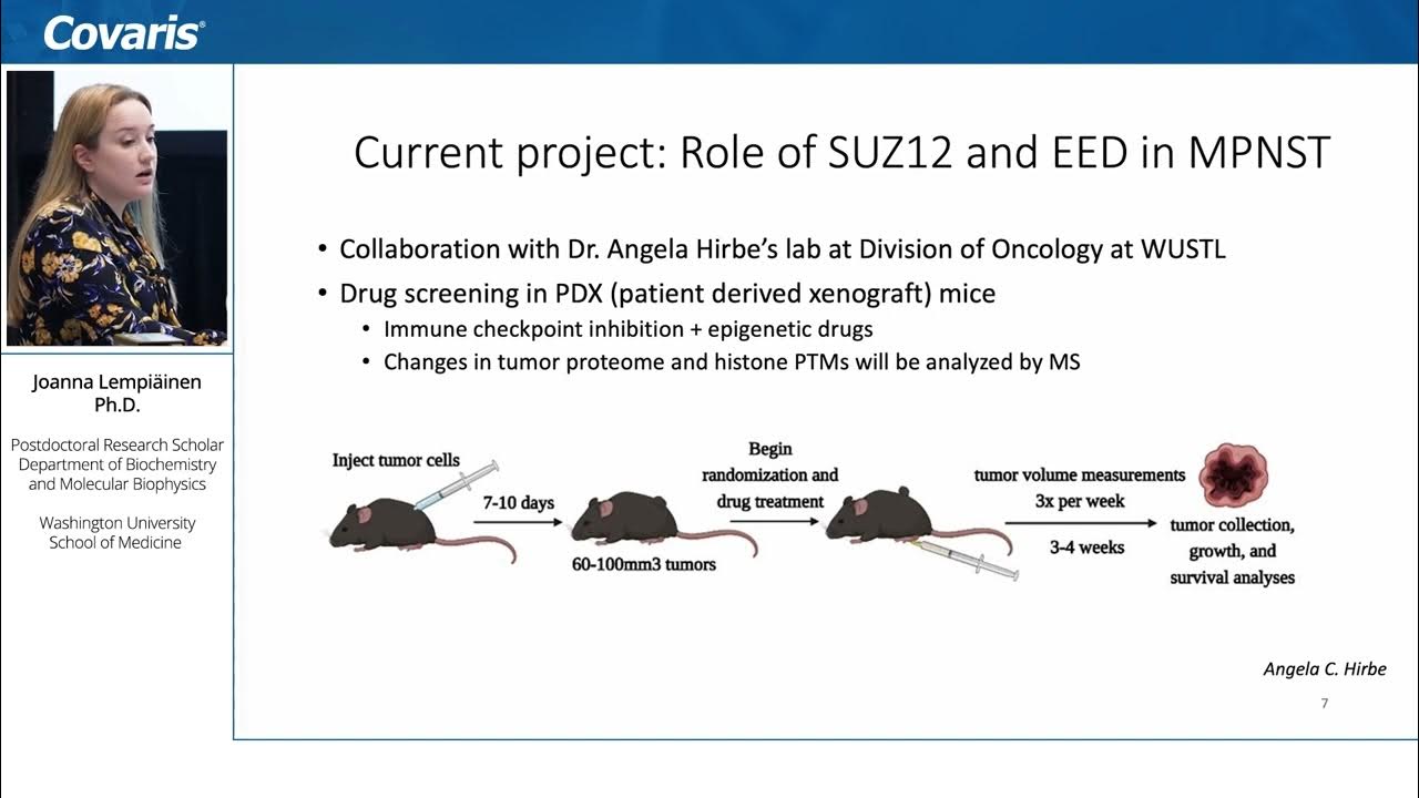 Parallel Analysis Of The Proteome Histone Ptms And Rna Modifications From Frozen And Ffpe Tissues