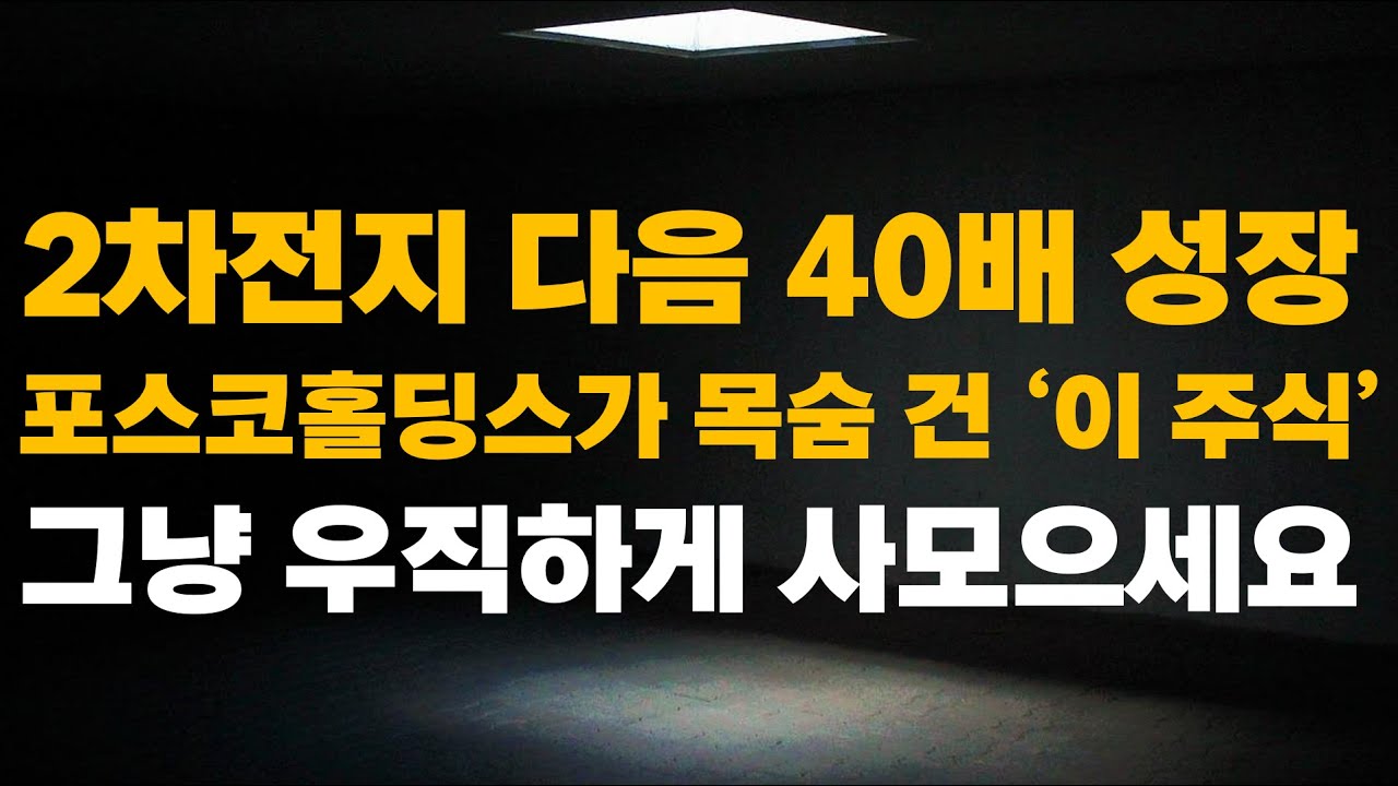 주식 2차전지 다음 40배 성장 포스코홀딩스가 목숨 건 이 주식 그냥 우직하게 사모으세요 Posco홀딩스전망 2차전지주식전망 엘앤에프에코프로비엠주가전망주식전망