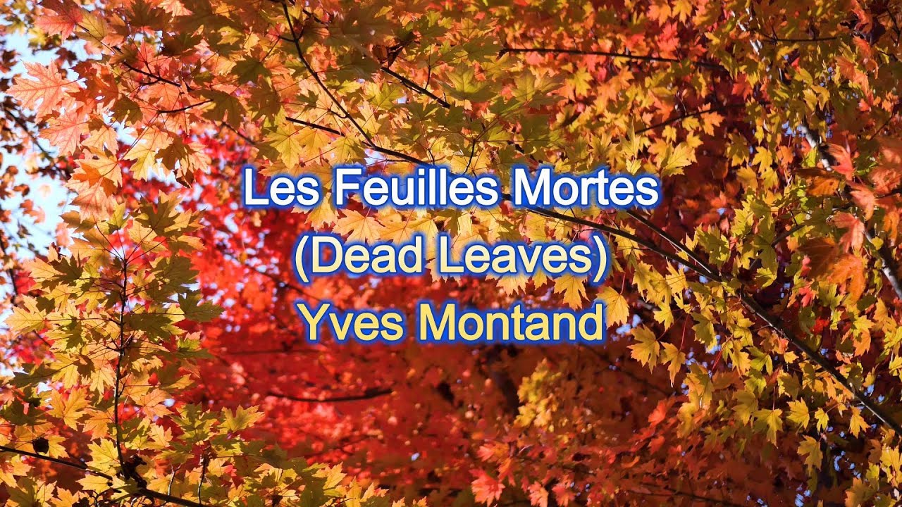 Les Feuilles Mortes (Also known as Autumn Leaves) - YouTube