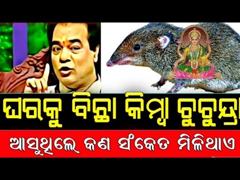Jitu das Top 10 Anuchinta tips - YouTube