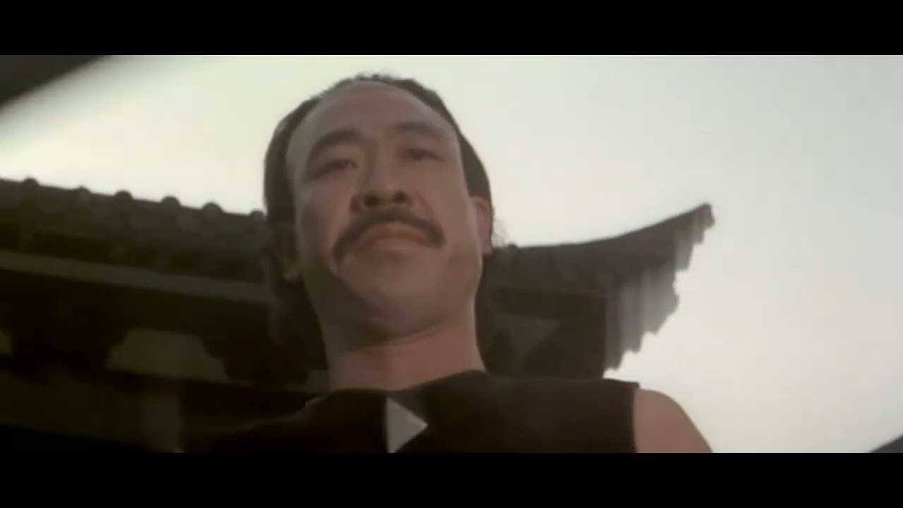 Kung Pow: El maestro de la kung fusión - Master Pain (Betty) - YouTube