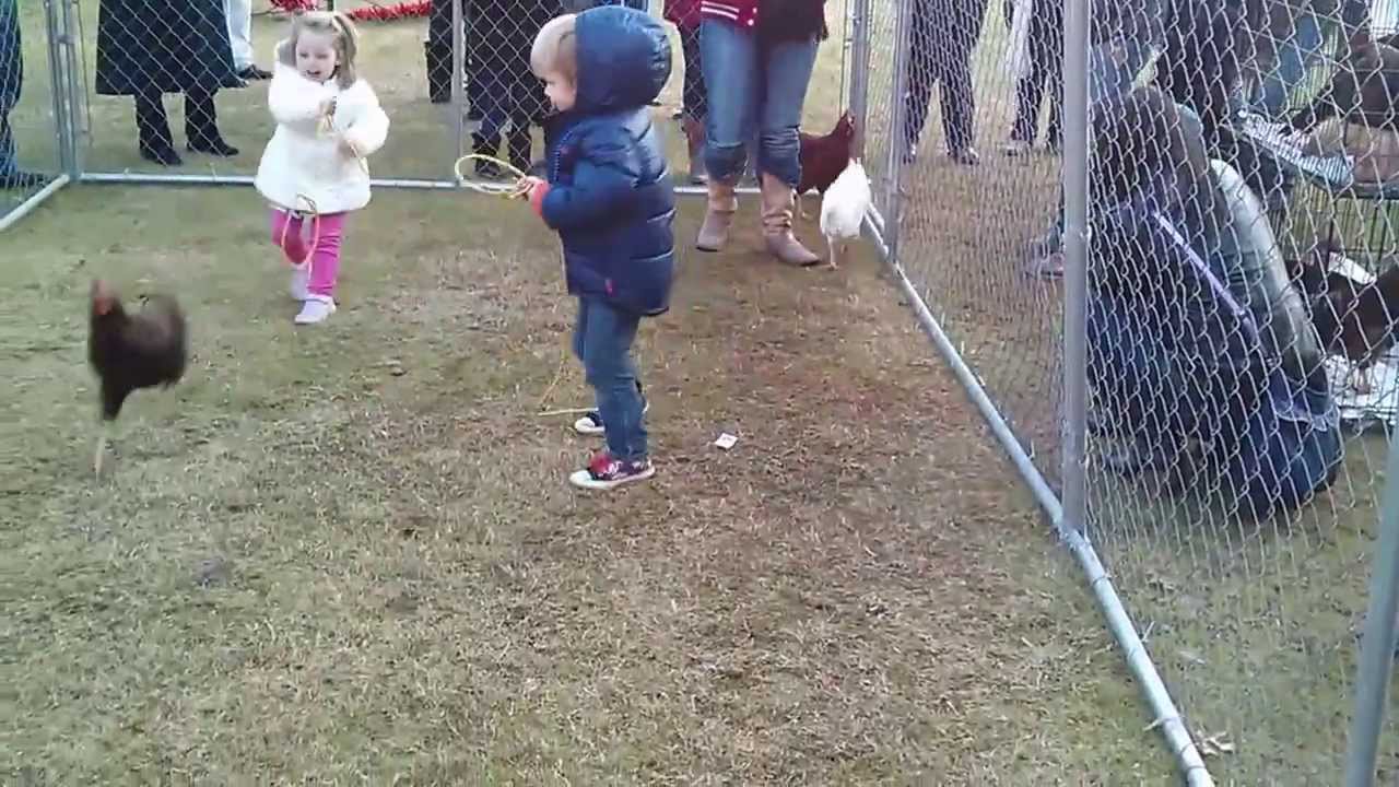 Chicken Roping (Benny Hill Style) - YouTube