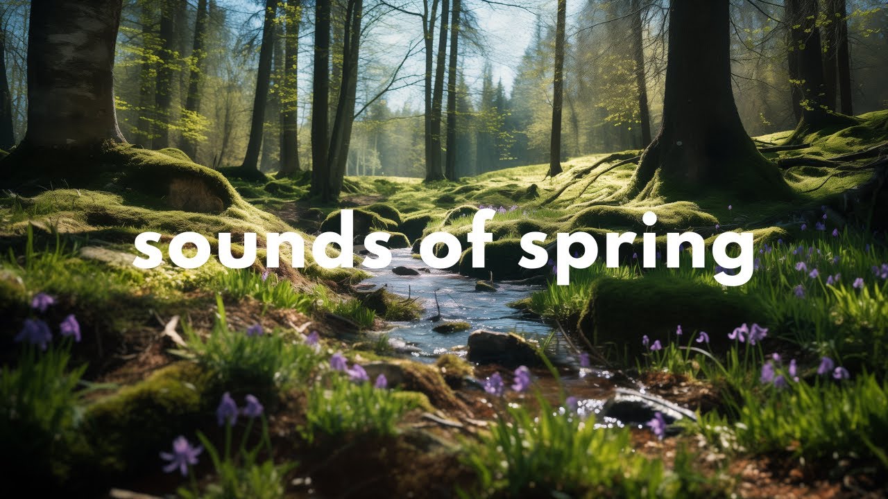 Spring Forest Ambience 🌿 | 3-Hour Relaxing Ambience with Birdsong and ...