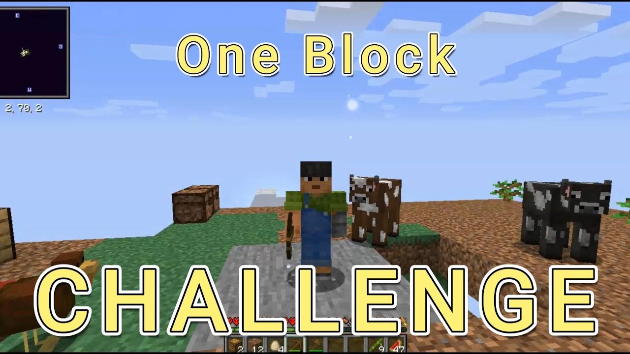 The One Block Challenge!!! - YouTube