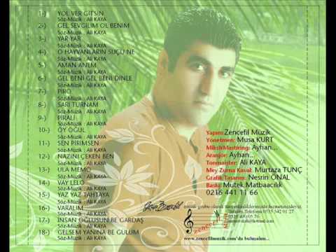 NAZINI ÇEKEN BEN.wmv