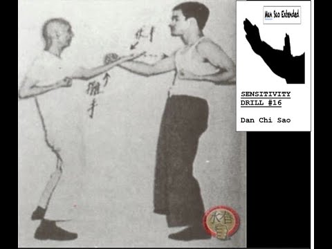 WING CHUN - Sensitivity Drill #10 - Dan Chi Sao (Single Hand) - YouTube