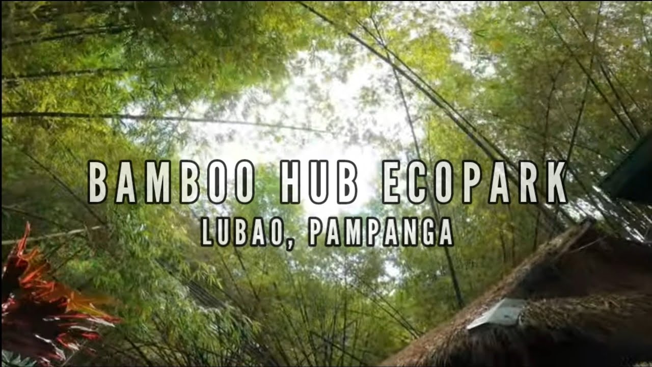 BAMBOO HUB ECO PARK #franceeadventure - YouTube