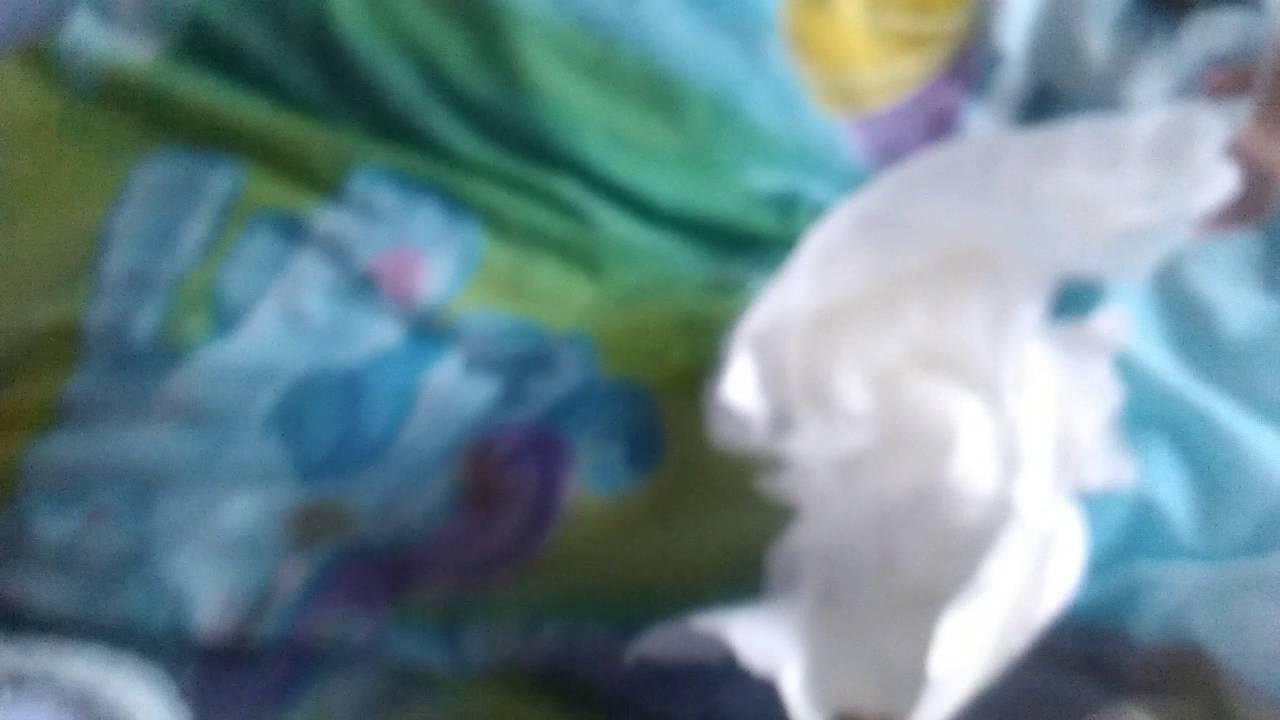 Operation is a go.. - YouTube