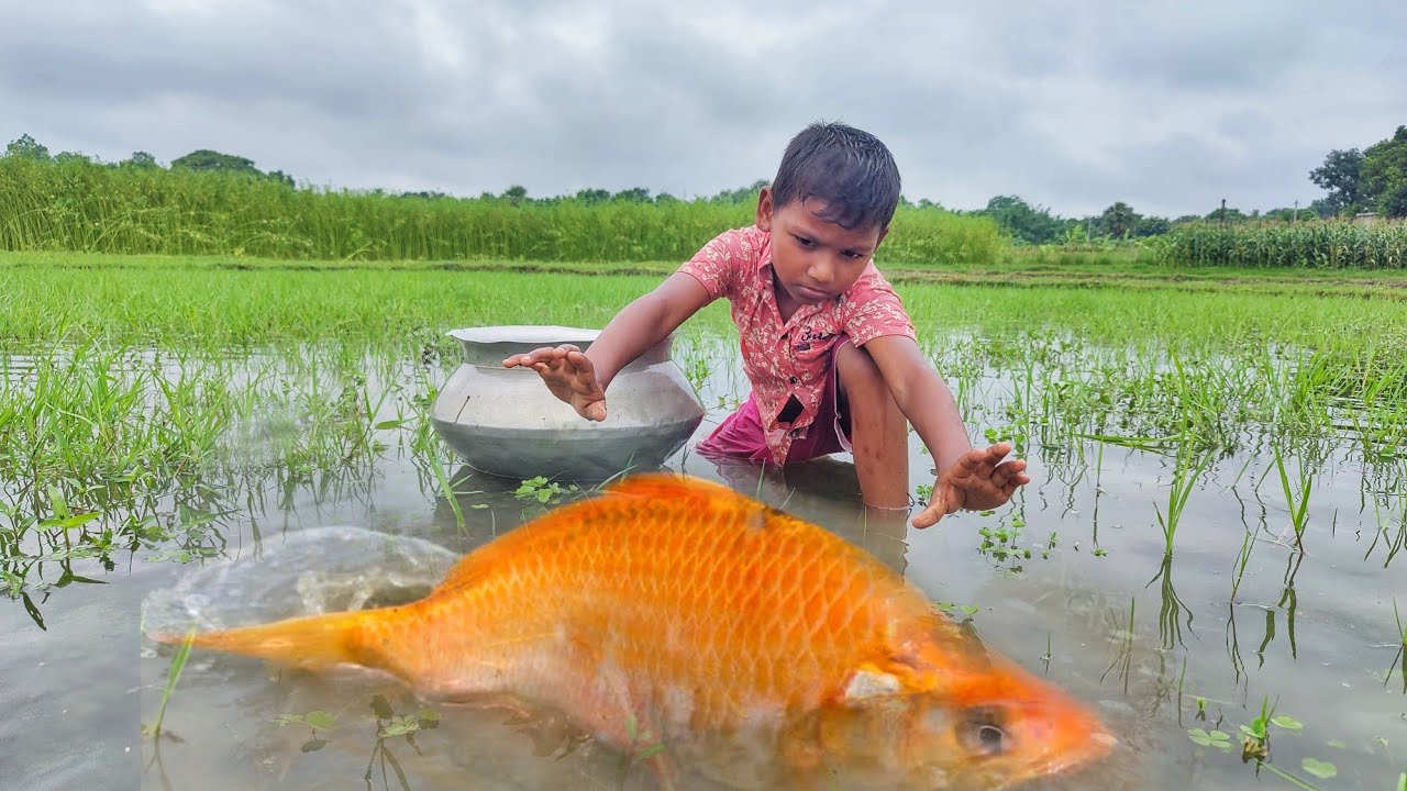 Nicely Amazing Fishing Videos || Traditional Catch Big Fish By Hand In ...