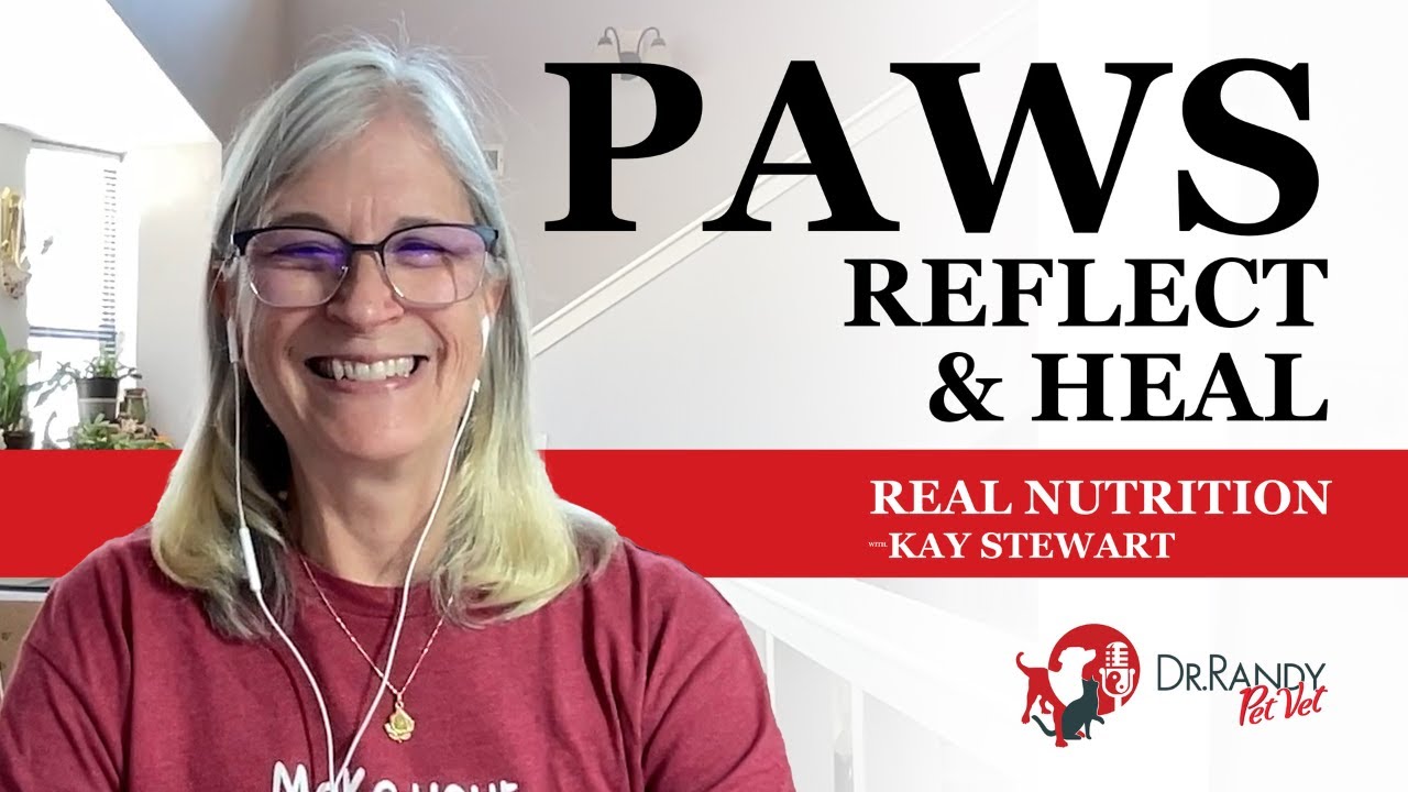 Revolutionizing Pet Nutrition: Insights from Kay Stewart from Feed Real Institute - YouTube