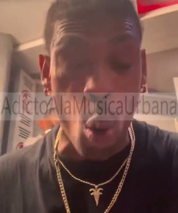 🔥 El Napo Reta a Rochy RD a Pelear en la Plaza de la Bandera 🥊 - YouTube