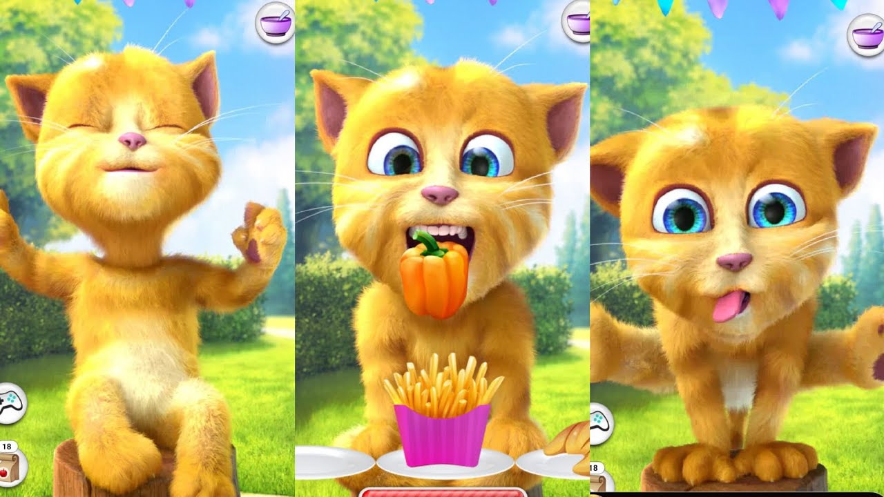 NEW!! Talking Tom Eating And Playing🍍🥭🥭🍒🍎🍆🥥🍌🍎🥬🥬🍅🍆🌶🌶🥫🍘🥮🍣🍙🍛🍘🧂🍚🥮🍢🥟🍮🧁🍶 ...