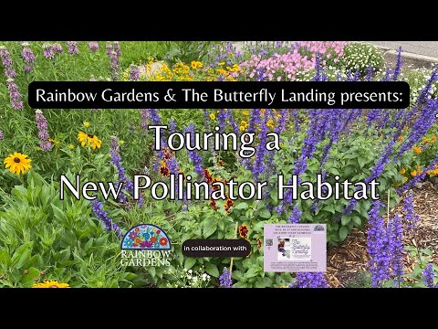 Touring the New Pollinator Habitat at the The Butterfly Landing - YouTube