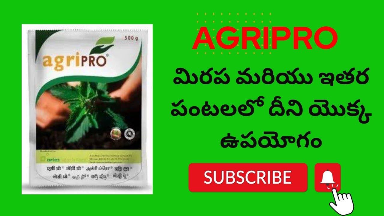 మిరప మరియు ఇతర పంటలలో Agripro ఉపయోగాలు@ramanatkpfarmer5138 - YouTube