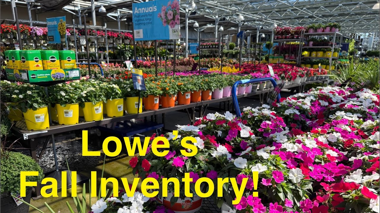 Lowe’s fall plant inventory September 2025! - YouTube