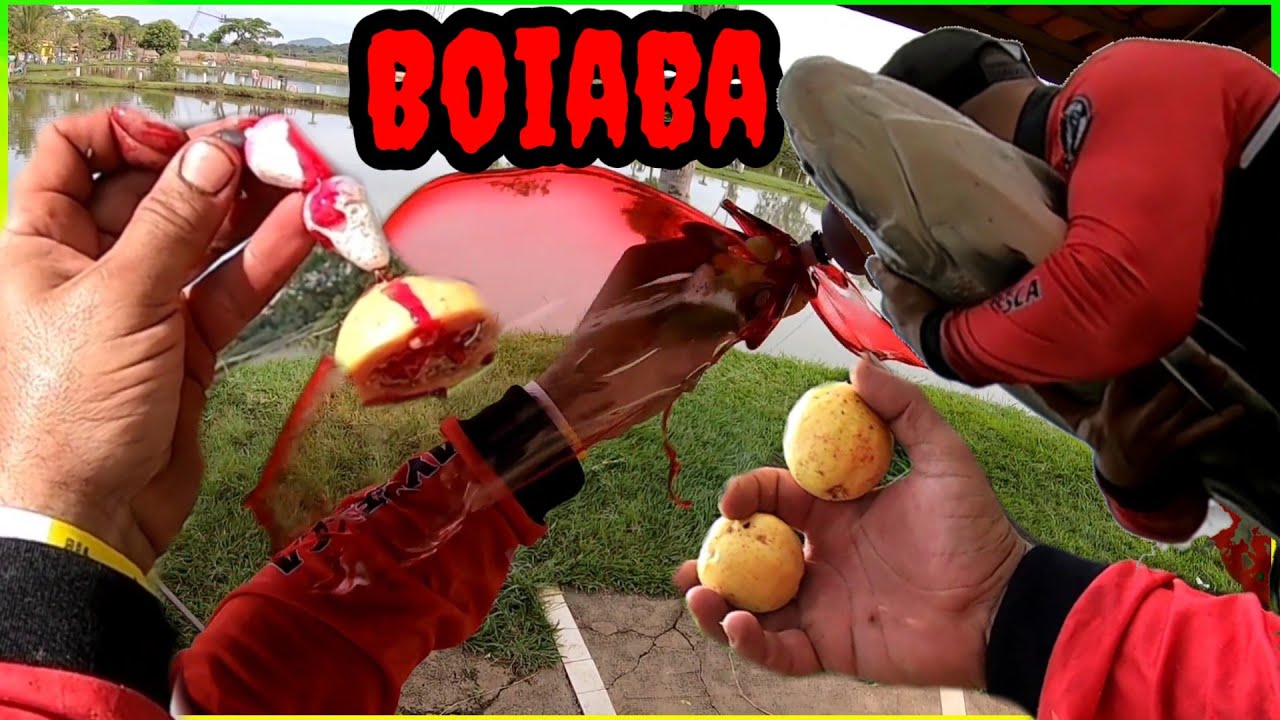 Boiaba o sistema Fatal veja como identificar a isca natural que está ...