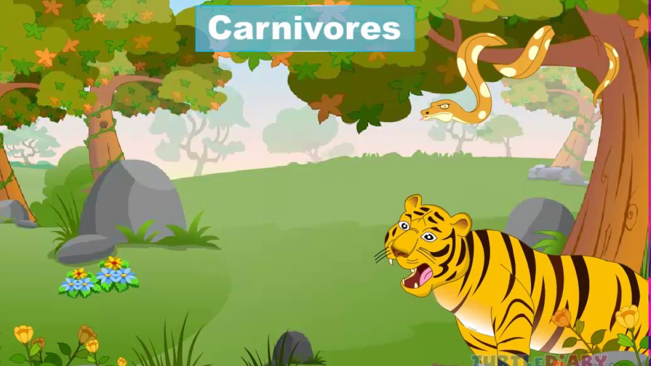 Class-2 Food Chain Video for Kids - YouTube