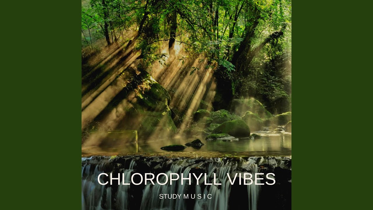 Roots and Rhythms - YouTube