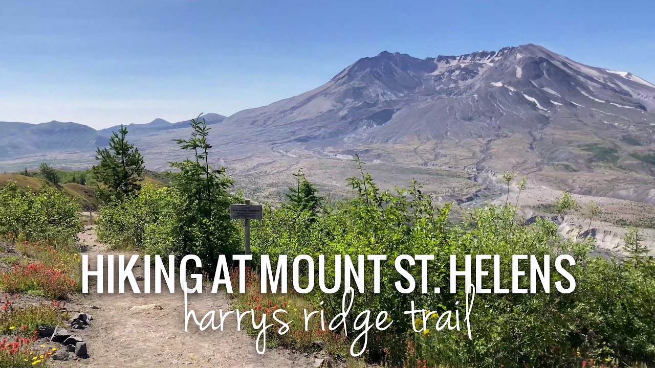 Don't Miss This Incredible Hike at Mount St. Helens National Volcanic ...