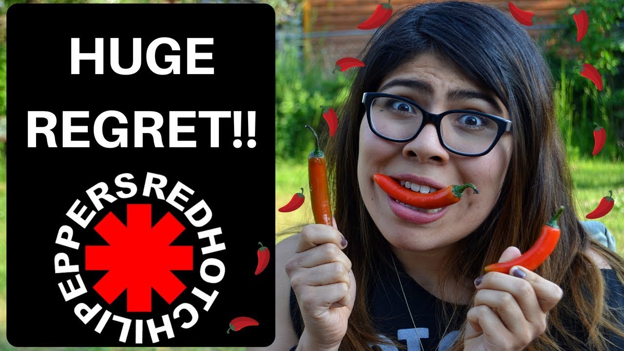 I ate a SUPER spicy pepper while singing a Red Hot Chili Pepper’s song ...