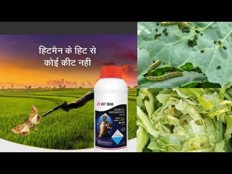 Hit man novaluran5.25%+emamectin0.9% ki puri jankari  Gobi me dava indo swiss farmer profile india