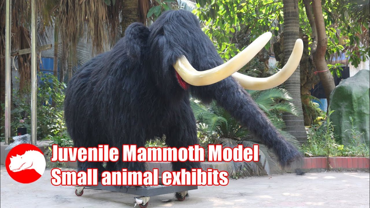Fabricated Juvenile Mammoth Model - Small Ice Age Animal - YouTube