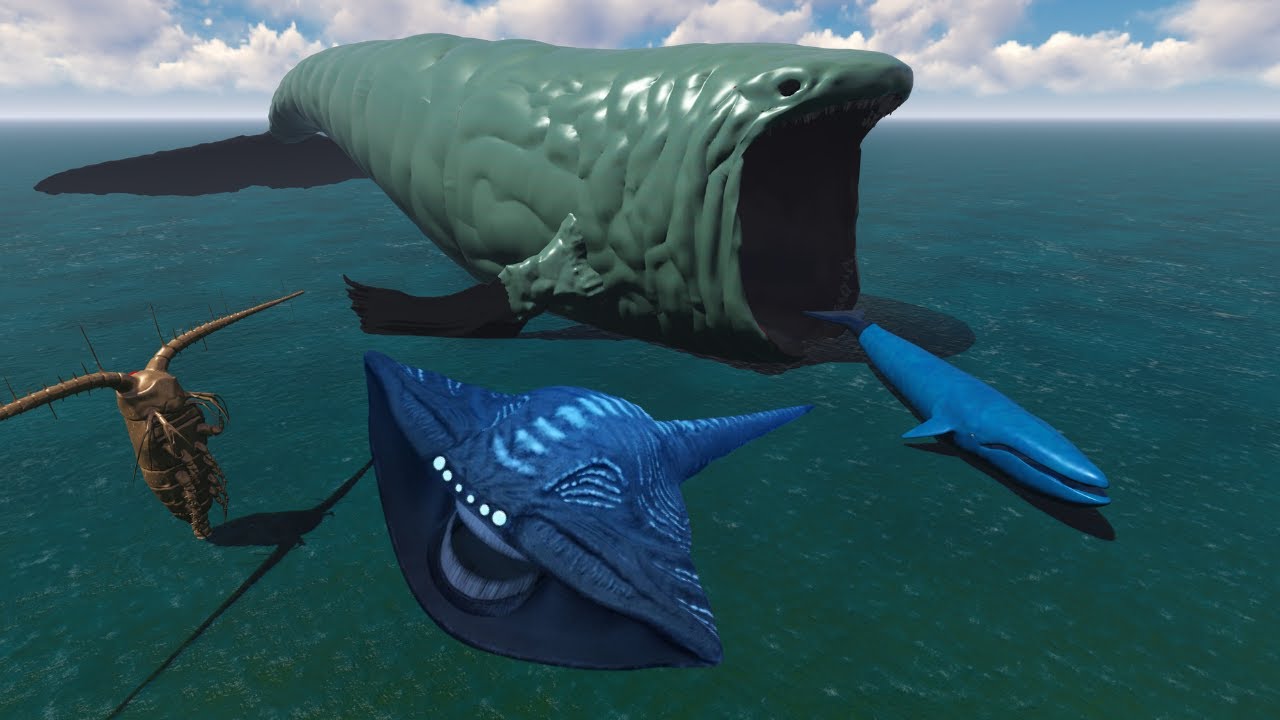 Smallest to Largest Sea Creature 3D Size Comparison 2024: El Gran Maja ...