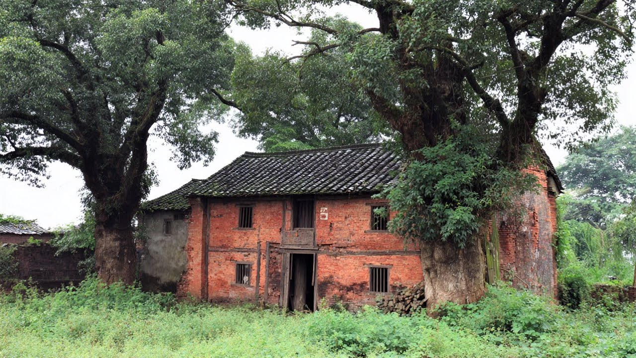 A man quit his job and returned home to renovate his father's old house ...