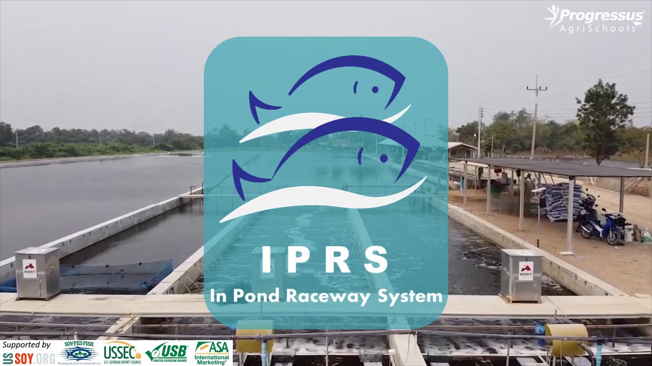 In Pond Raceway System (IPRS) AgriSchools On Demand - YouTube