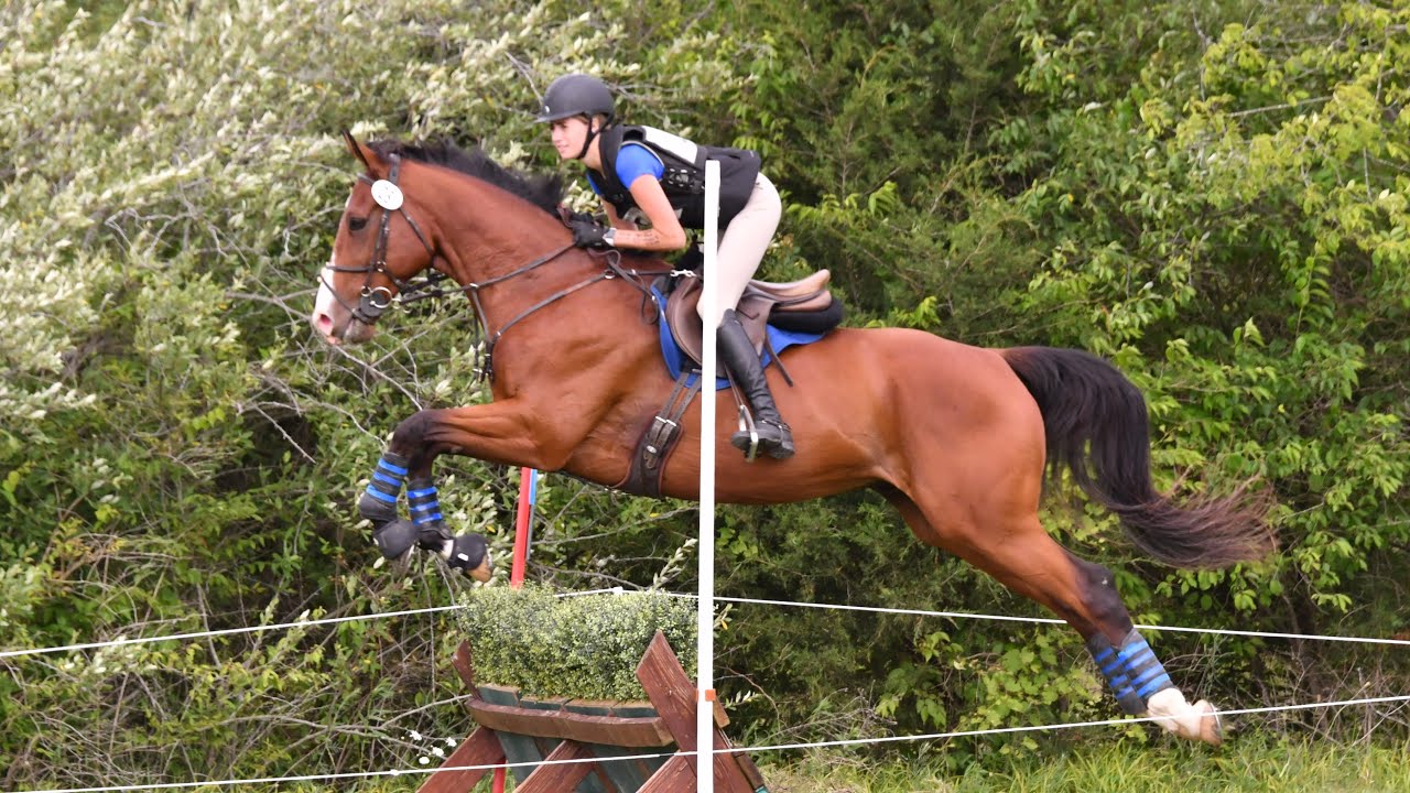 IEA Horse Trials: Novice 3 Day Steeplechase and Cross Country ...