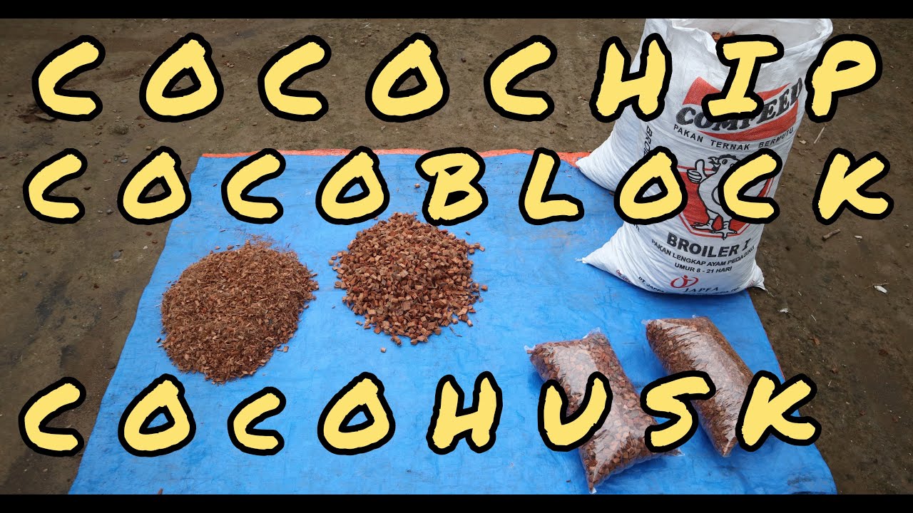 COCO CHIP / COCO BLOCK / COCO HUSK .Sabut kelapa cacah - YouTube
