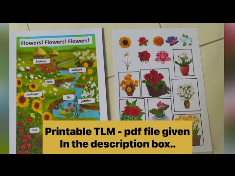 Flowers TLM | simple and easy | English Module -2 - YouTube