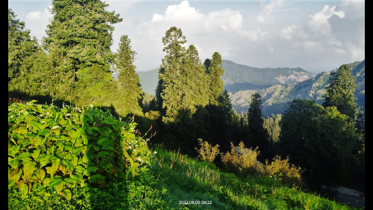 Best Nature Scenes with Soothing and Relaxing Music - YouTube