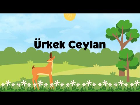 Ürkek Ceylan