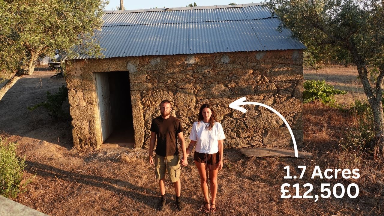 Building an off-grid homestead - YouTube