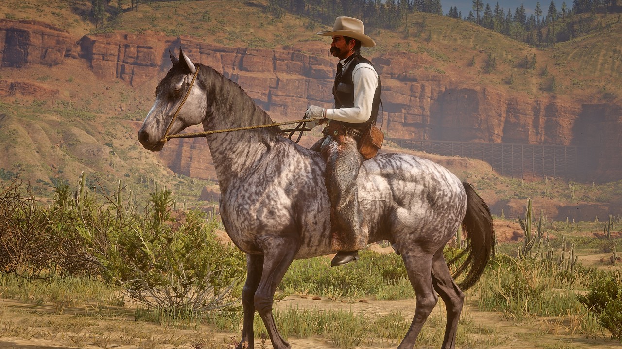John Marston Tames Rare Thoroughbred Brindle Horse in Wild West | RDR2 ...