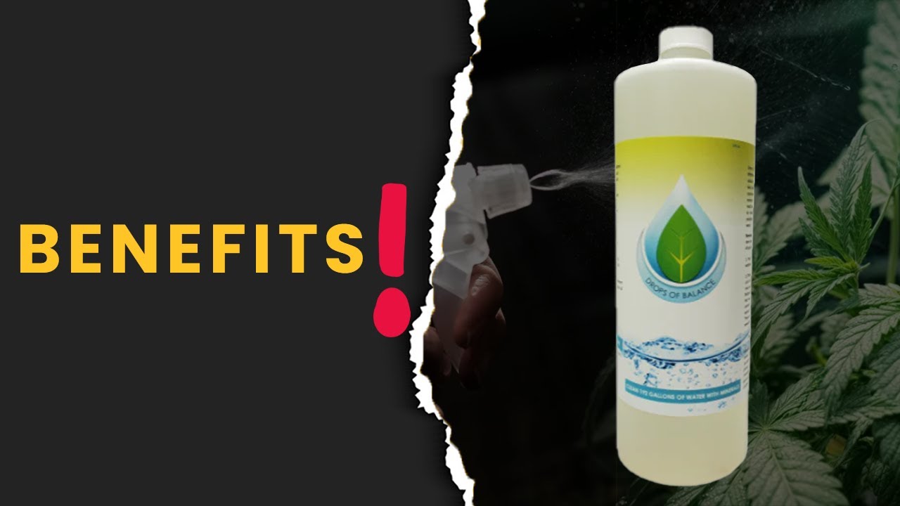 What Is the Benefit of Using Drops of Balance as A Foliar? - YouTube