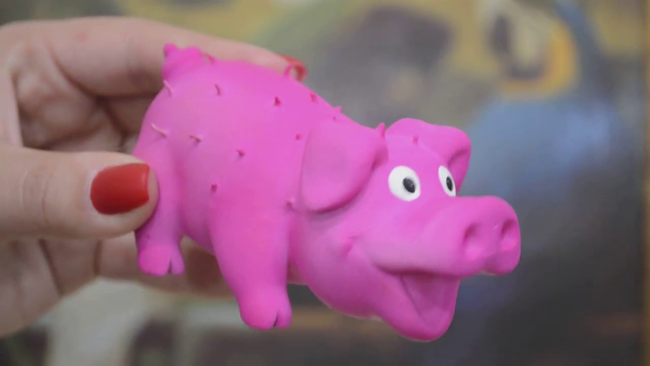 Trixie TX 35190 Игрушка для собак Свинка со щетиной, 10см - YouTube