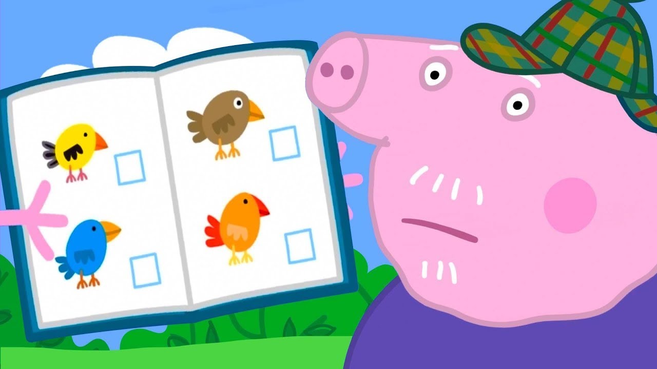 Peppa Pig Learns Bird Spotting | Playtime With Peppa - YouTube
