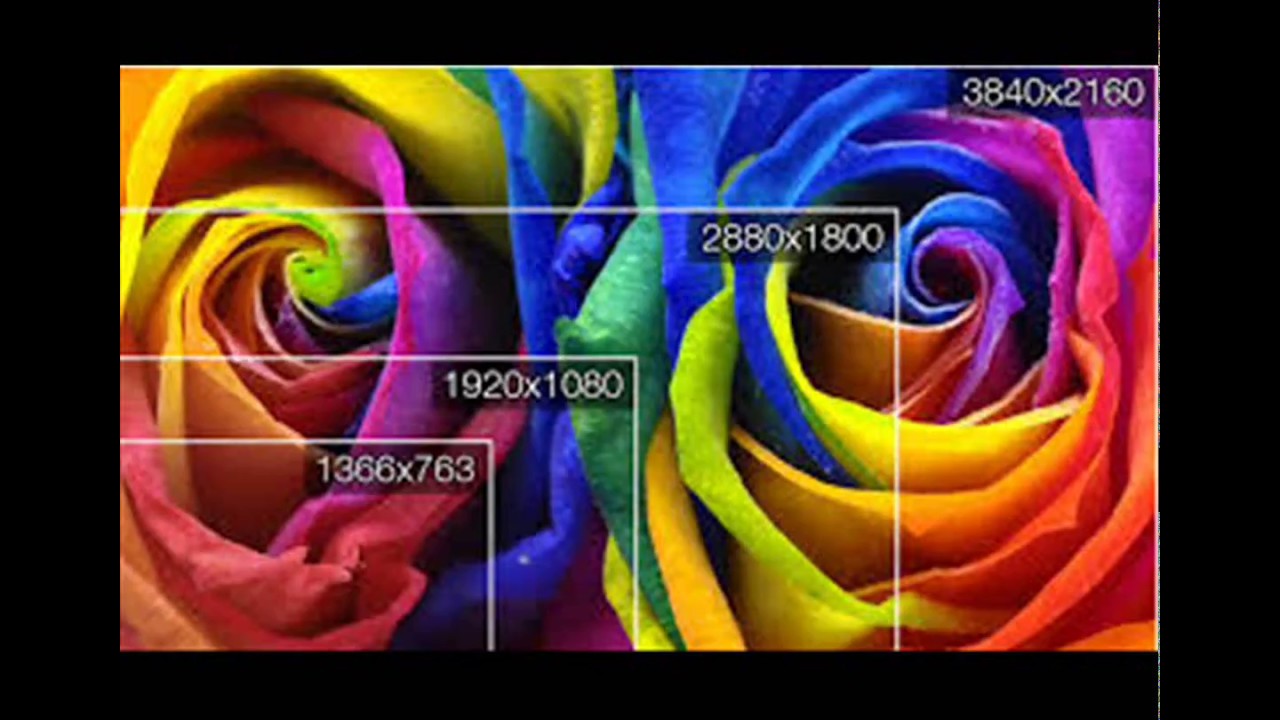 1440p video test. - YouTube