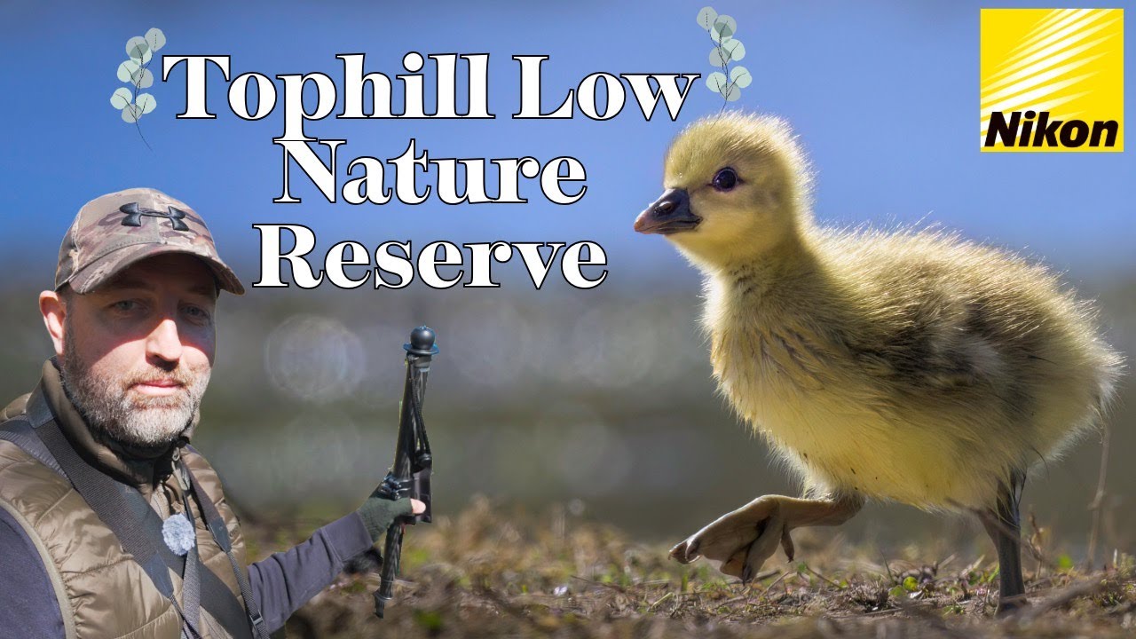 Tophill Low Nature Reserve Photography - YouTube