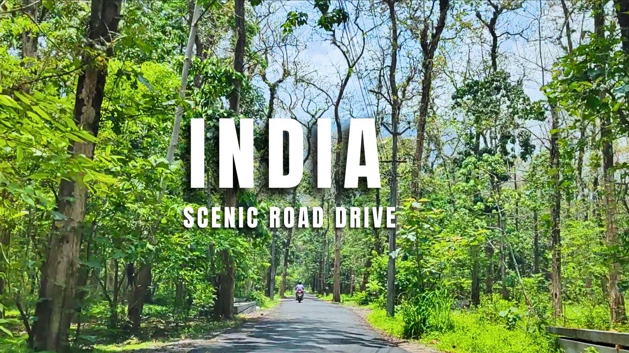 Scenic ROAD DRIVE Through INDIA'S WESTERN GHATS | KERALA | Pala ...