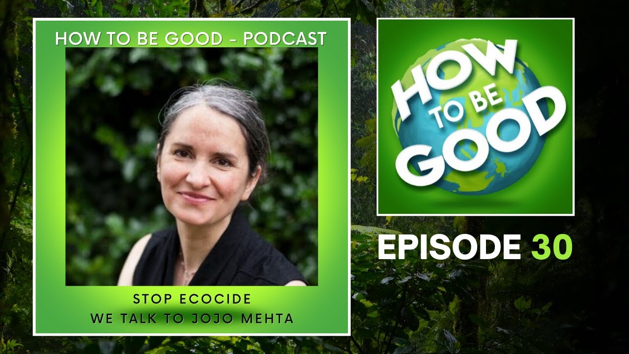 Stop Ecocide | Jojo Mehta, Executive Director of Stop Ecocide ...