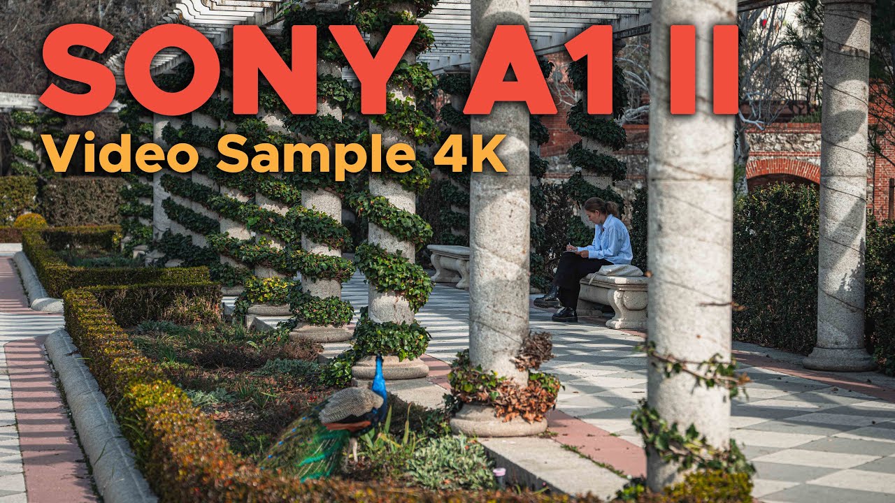 Sony A1 II - Video Sample 4K - YouTube