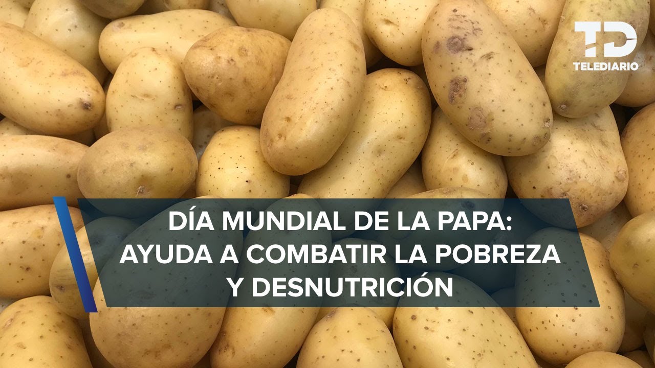 Cuáles son los beneficios de comer papa y cómo 'nutre' a México - YouTube