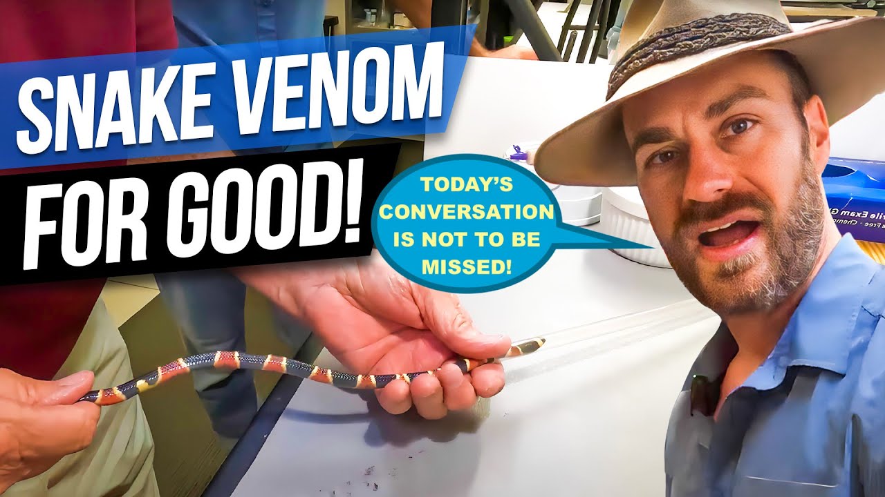 Life Lessons from a VENOM Lab! - YouTube