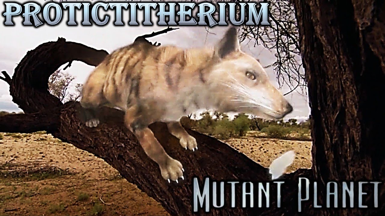 mutant Planet protictitherium screen time - YouTube